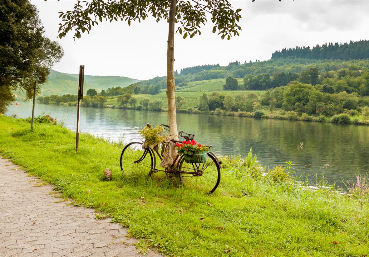 The Moselle Cycle Path | Macs Adventure