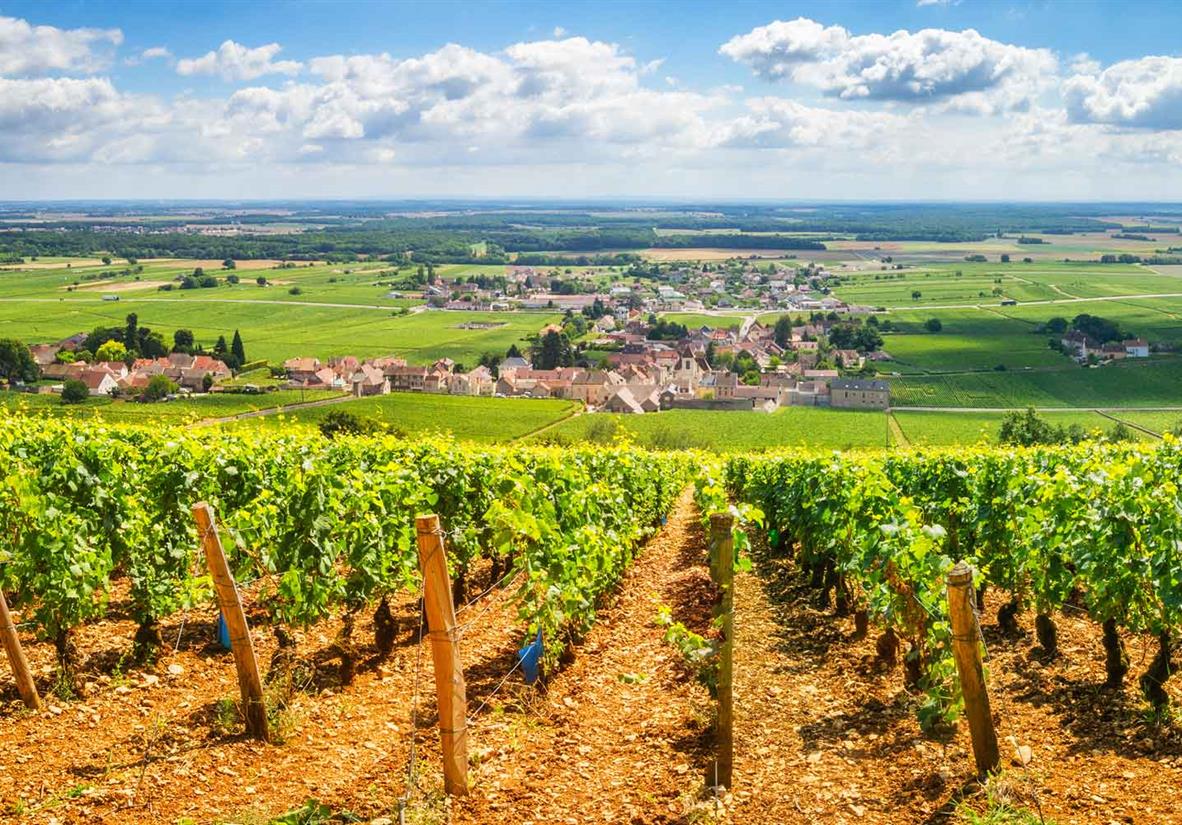 Walking in Burgundy: Walk the Route des Grands Crus