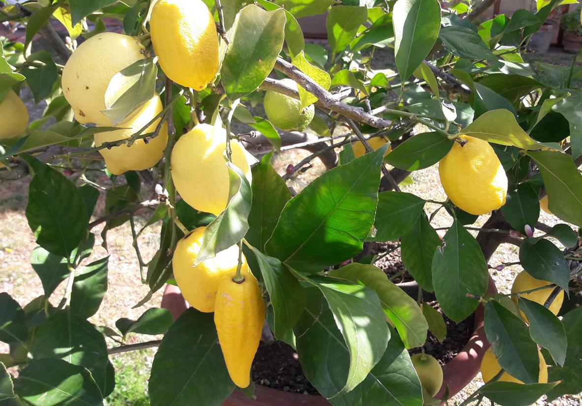 Tuscany: Classic Chianti Short Break