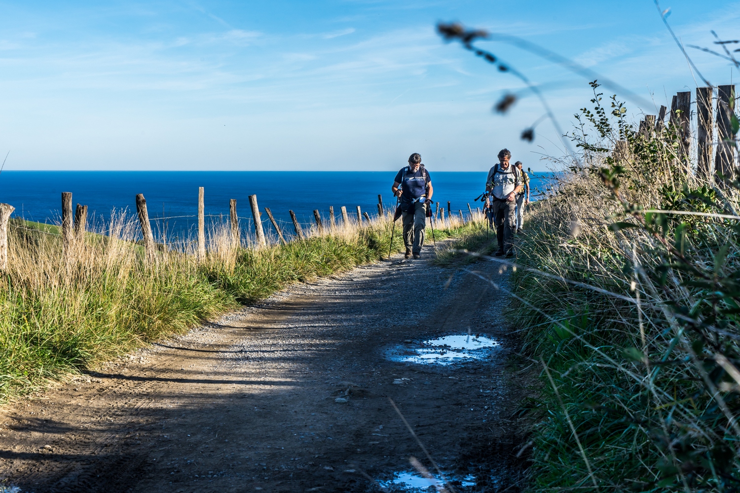 Seven Reasons to Visit the Basque Country