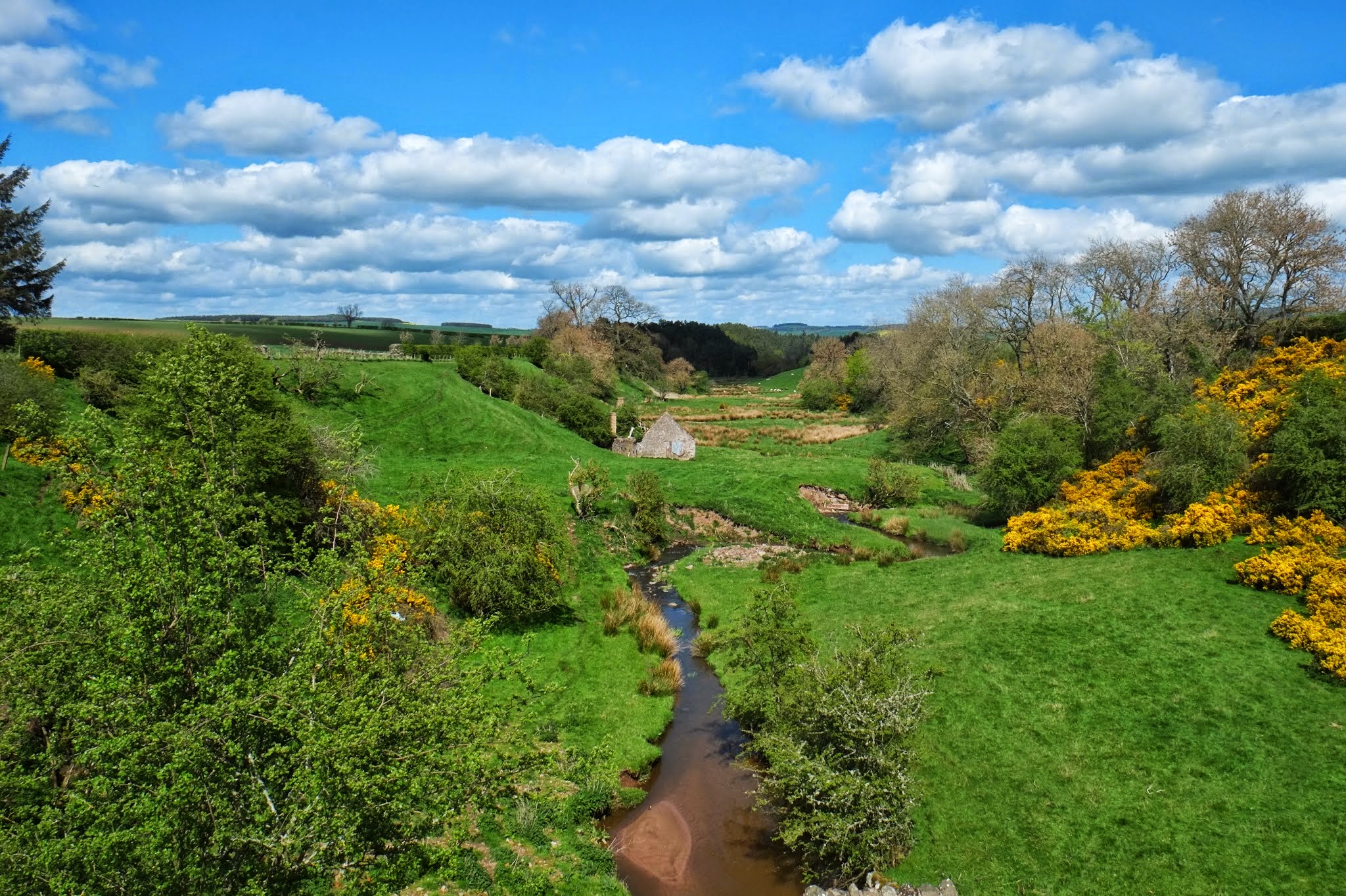 Top Things You Should Know about the St Cuthbert's Way