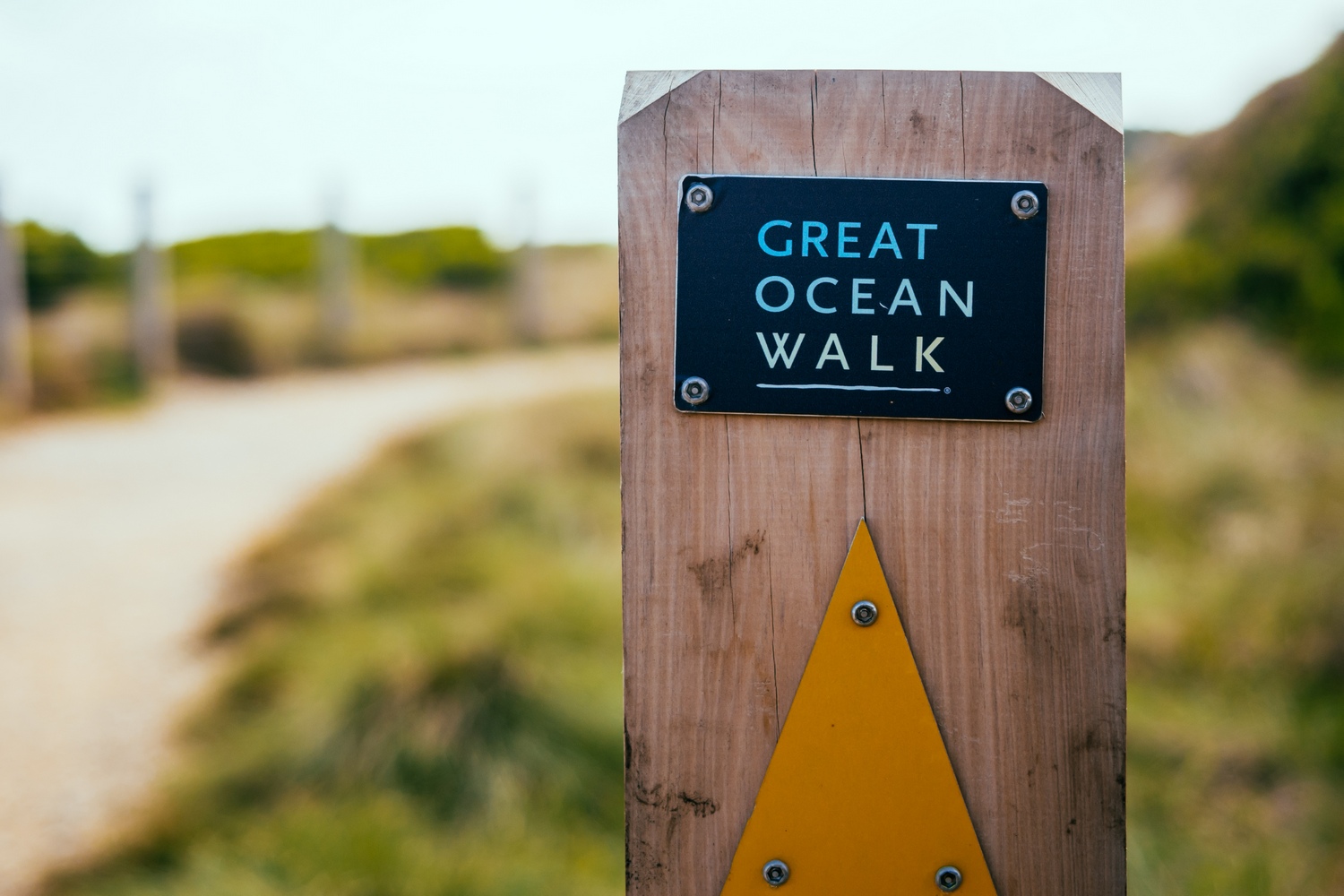 Top Things to See on the Great Ocean Walk | Macs Adventure Blog