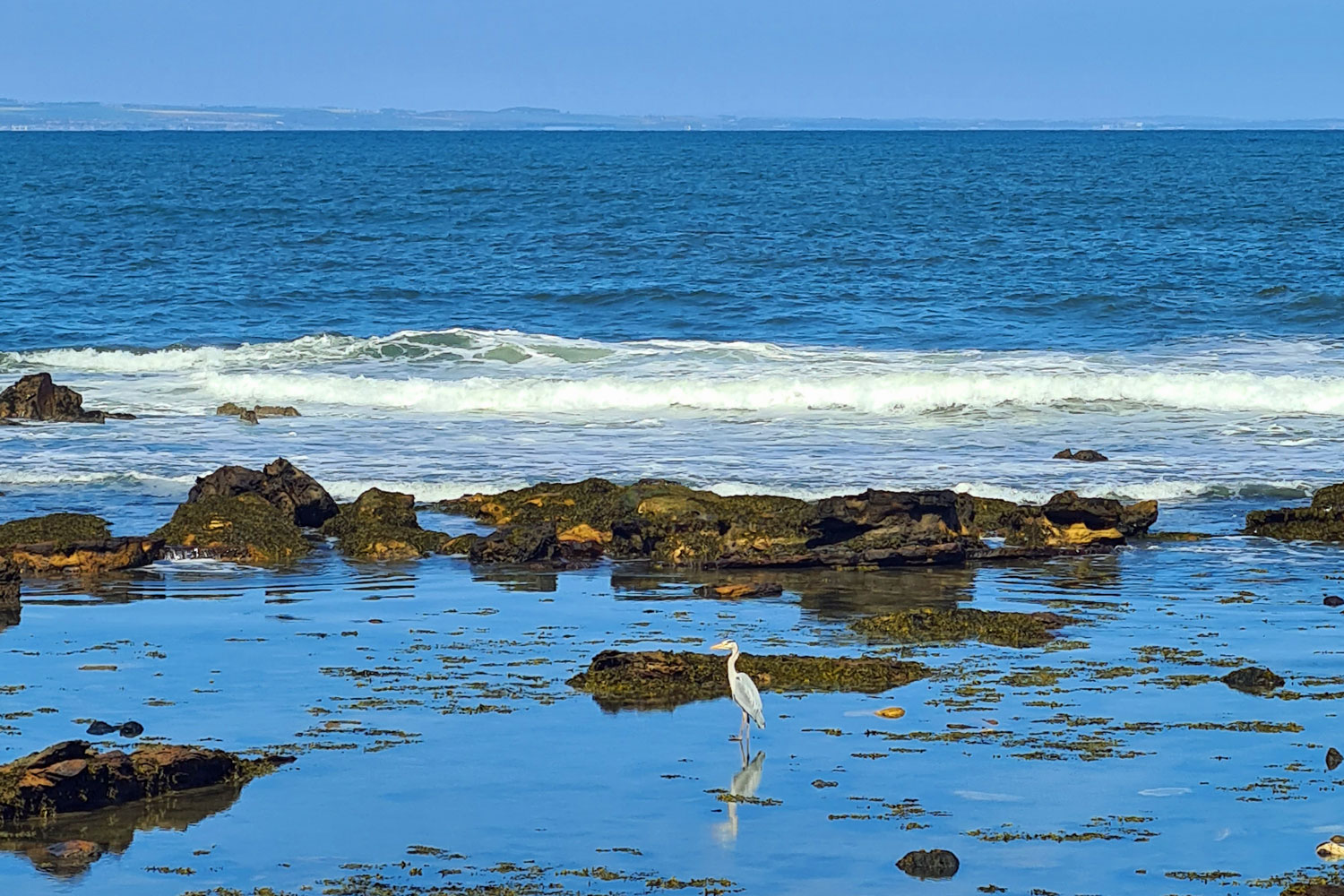 The Kingdom of Fife: Did you know?