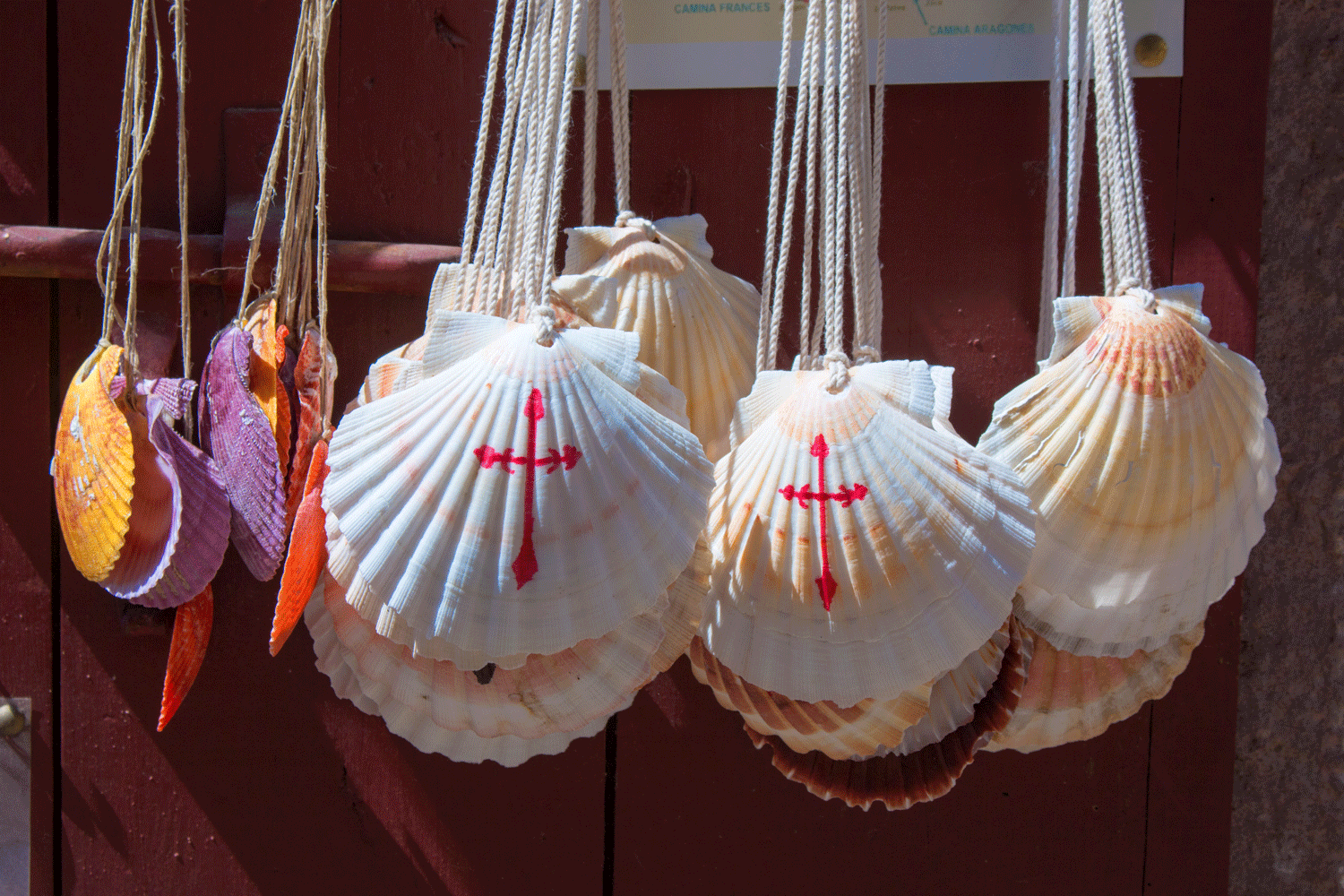 Camino de Santiago Shell Meaning & Symbolism | Macs Adventure