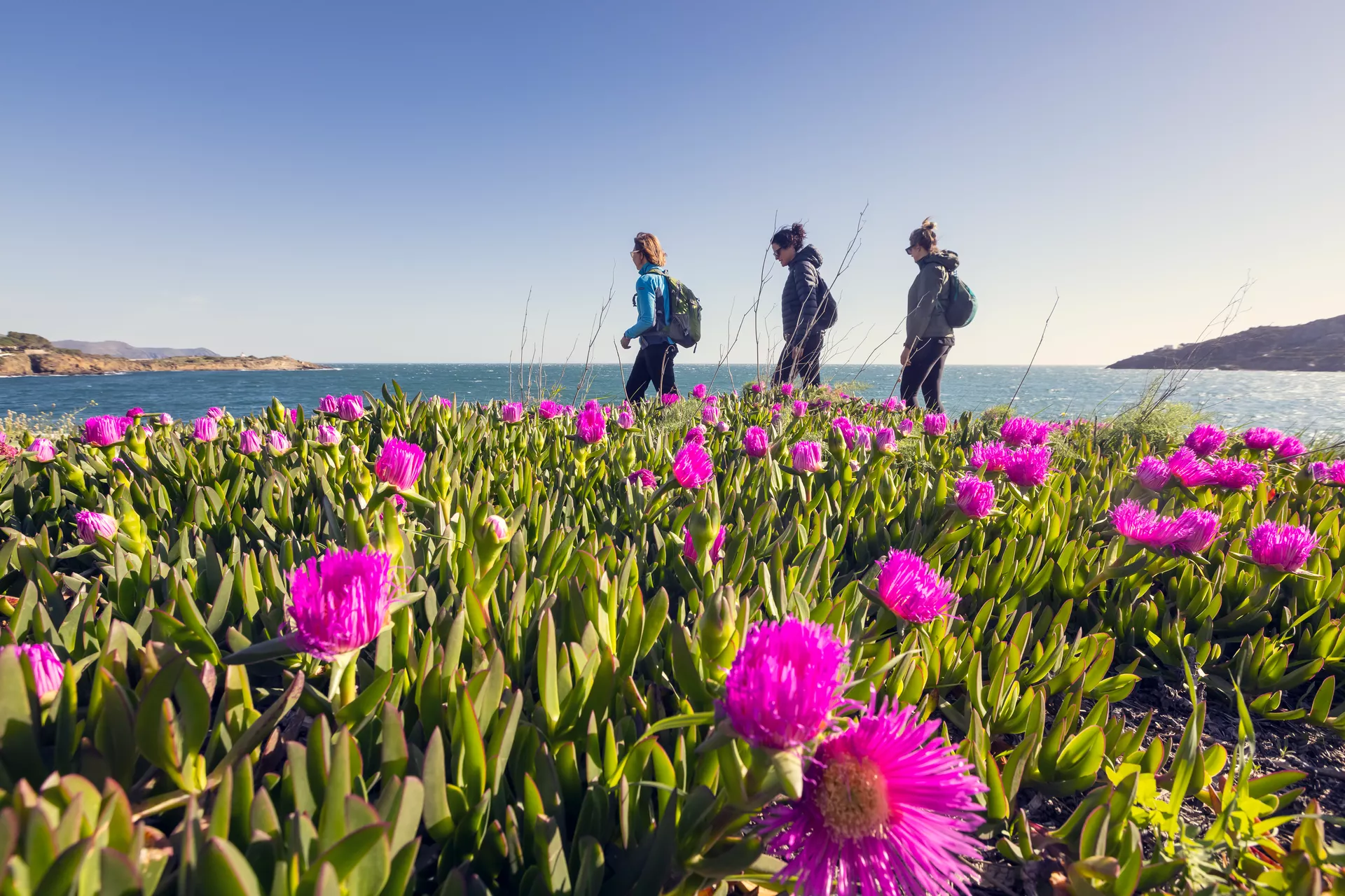 Spring Walking Holidays | Walking in Spring | Macs Adventure