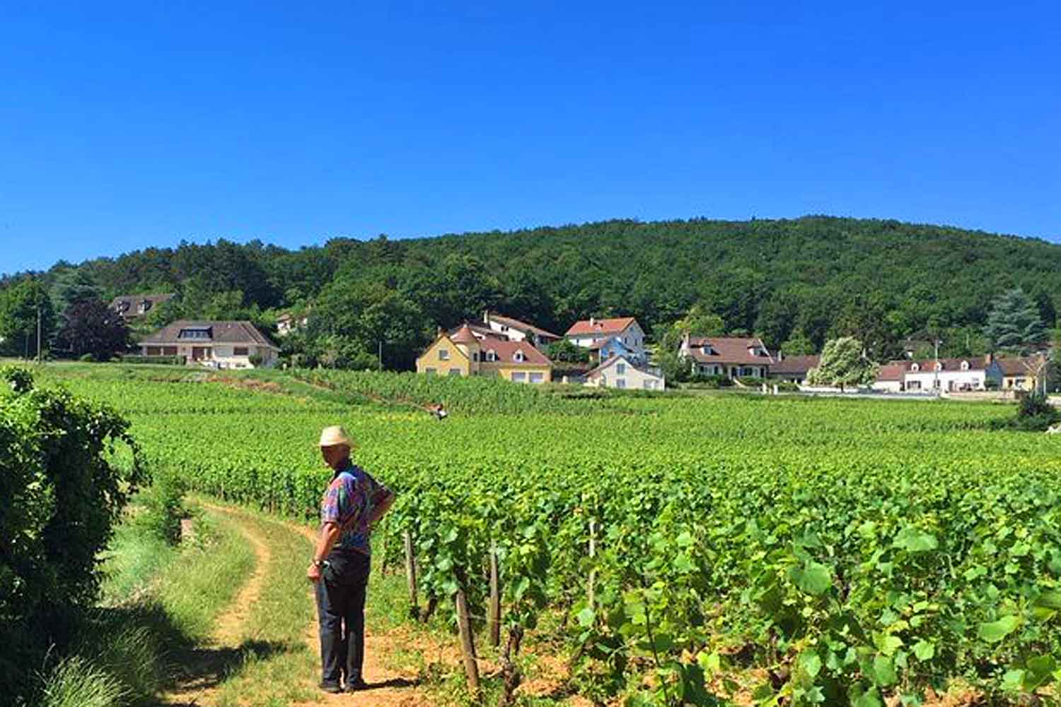 Adventure of the Week: Burgundy Vineyard Trails | Macs Adventure Blog