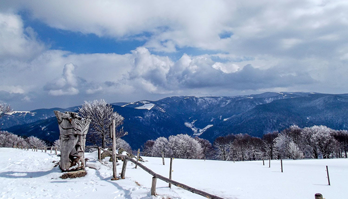 Zypern Kurztrip: Höhepunkte der Akamas Halbinsel | AbenteuerWege