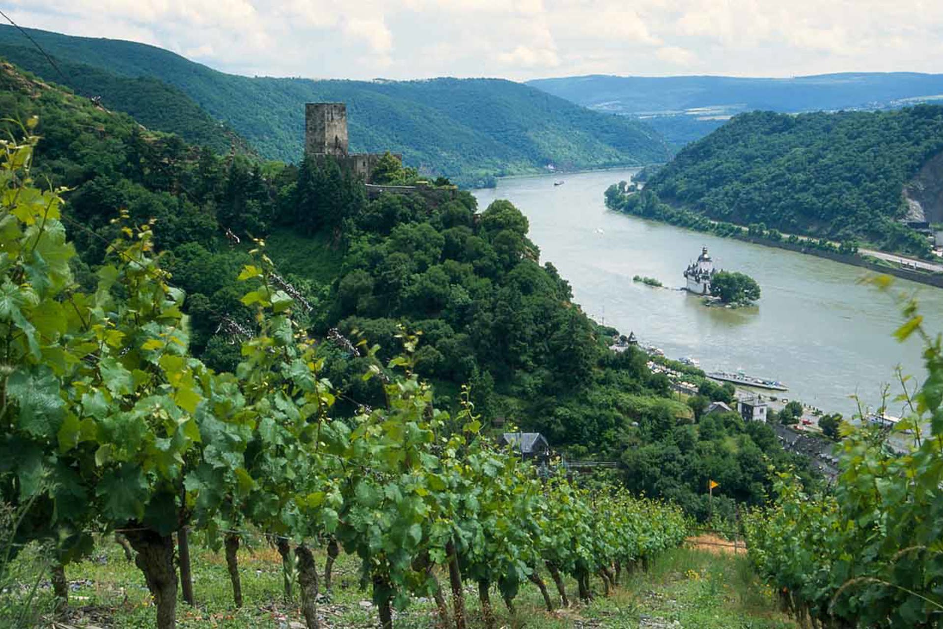 Walk of the Week: Castles of the Romantic Rhine