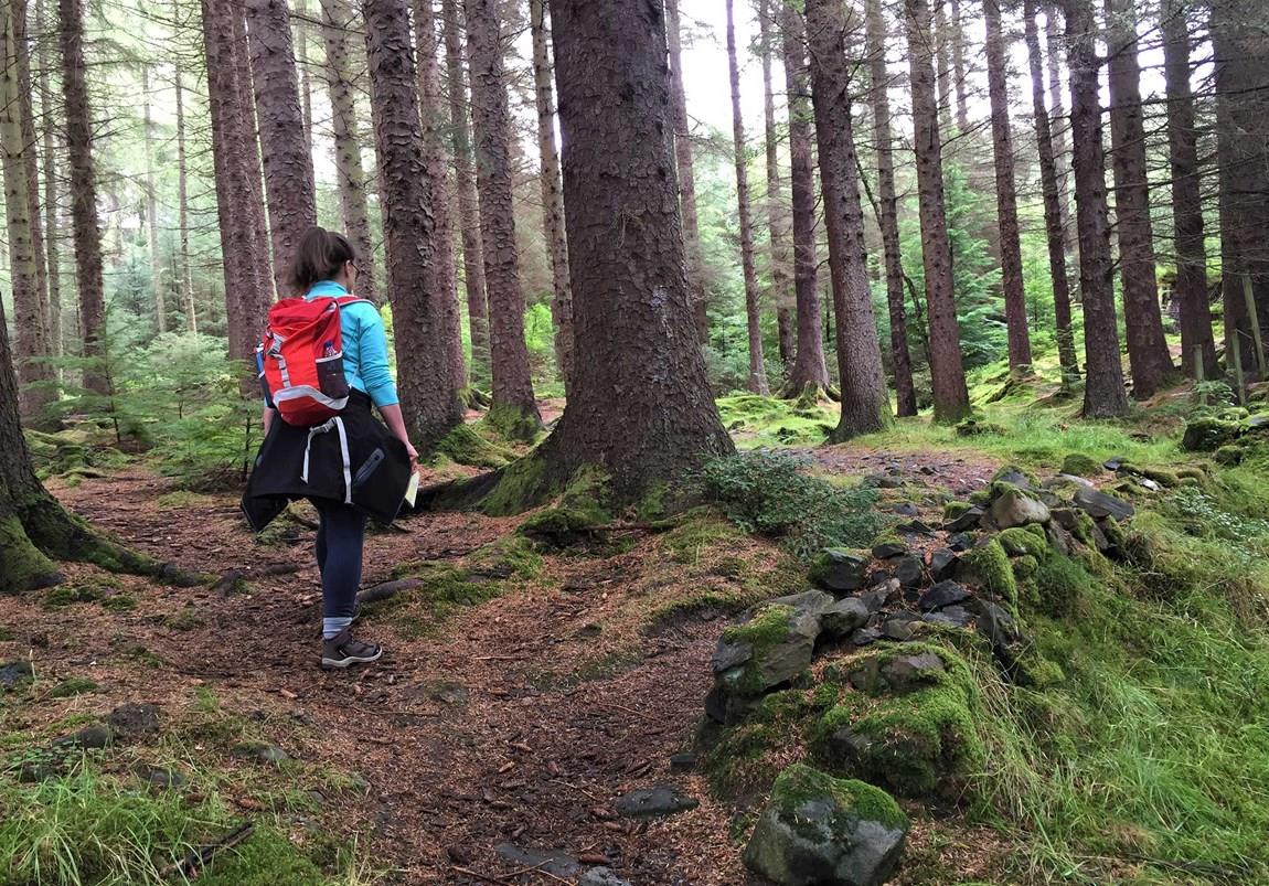 Rob Roy Way - Walking Holidays, Map & Route Info | Macs Adventure