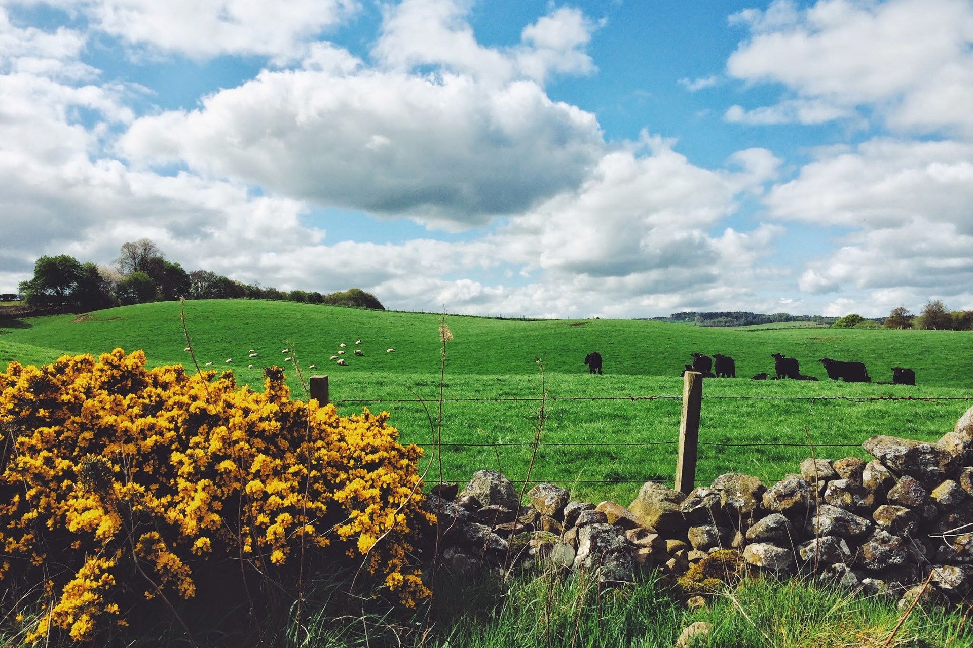 St Cuthbert’s Way - Time and tide waits for no man….