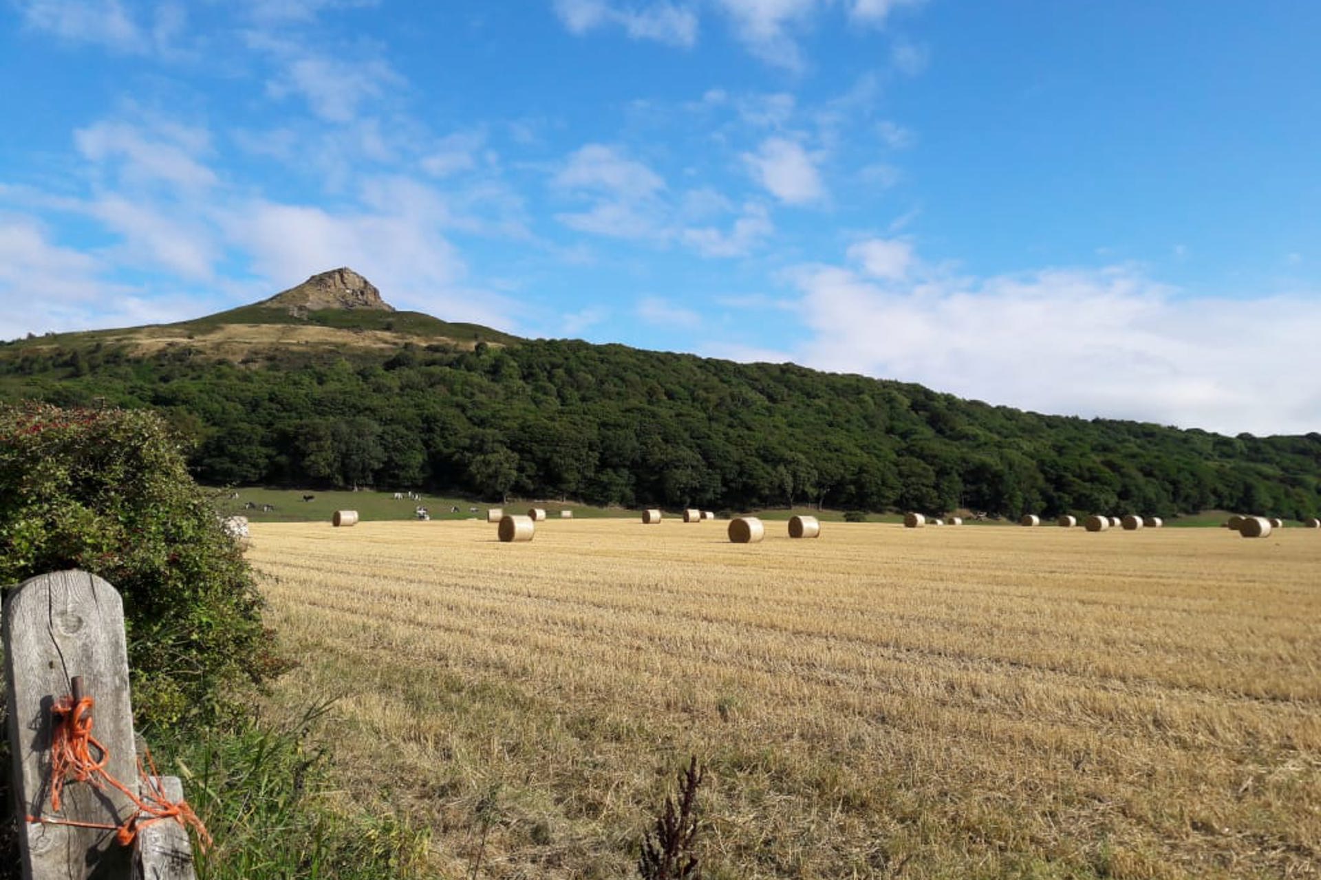 Top Sights Along the Cleveland Way