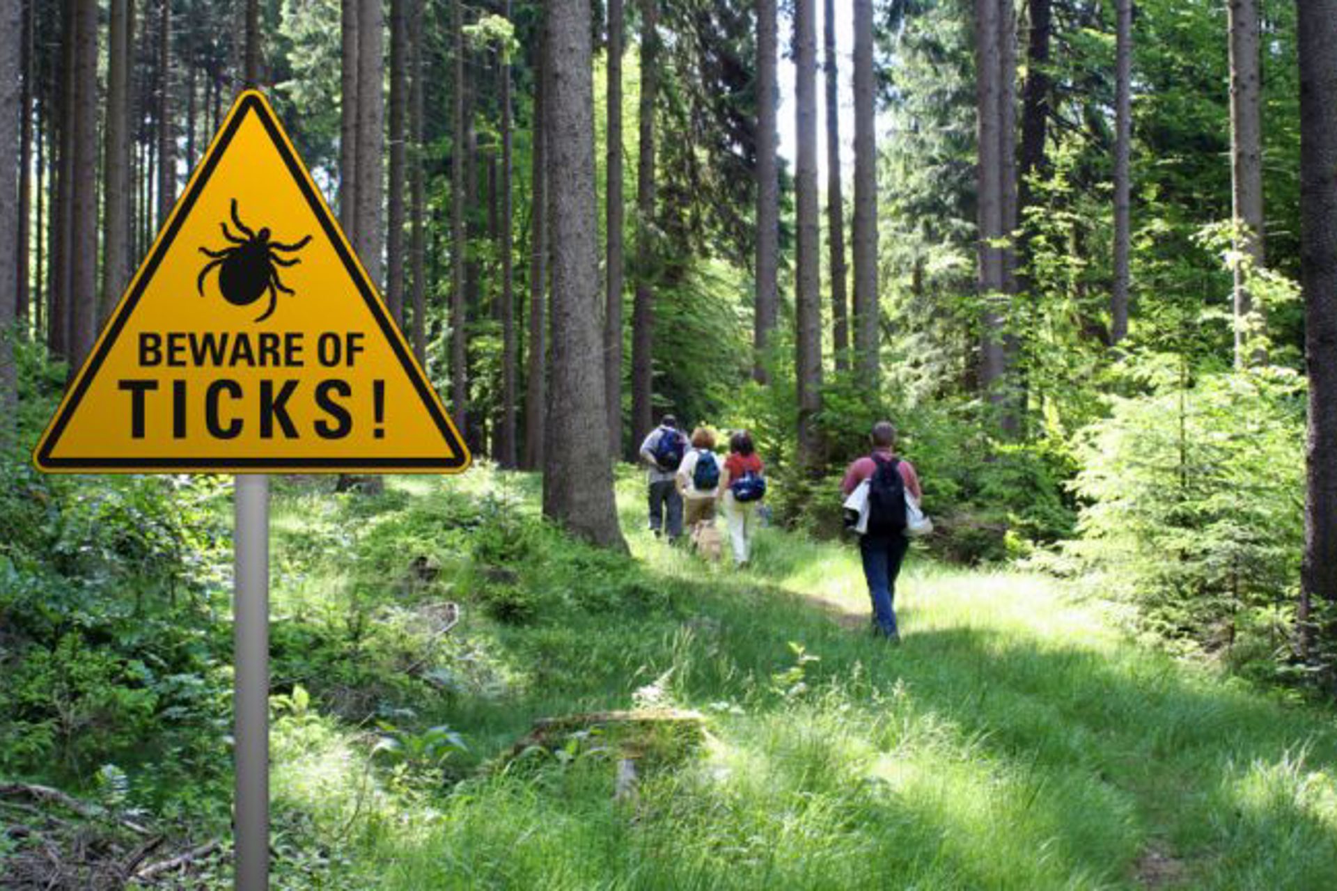 How to avoid ticks when hiking | Our guide to ticks | Macs Adventure