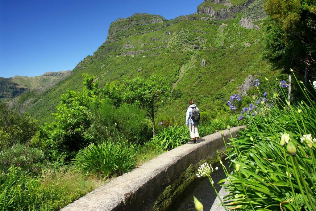 Walk of the Week: Madeira - The Flower Island