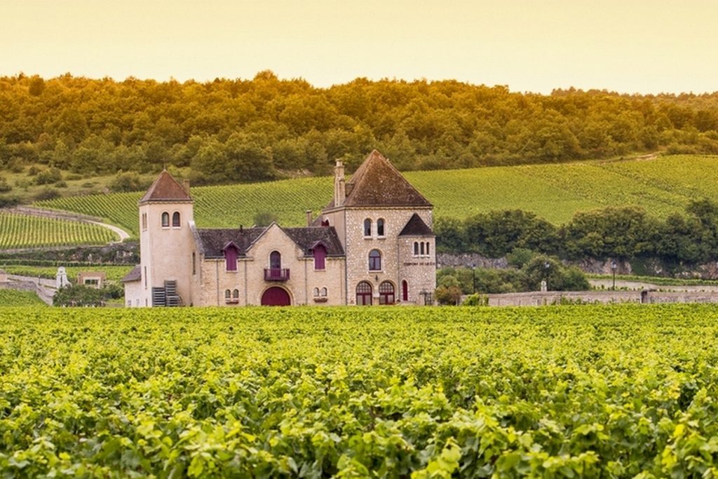 Adventure of the week - Burgundy vineyard trails