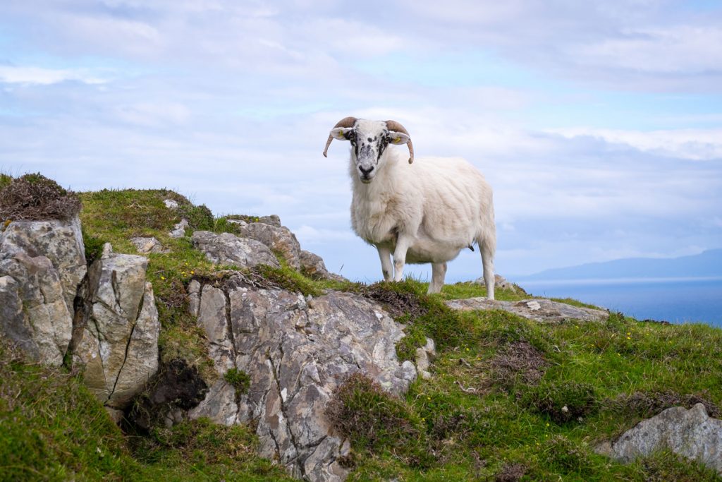 Adventure of the Week: Sheep's Head Way Ireland | Macs Adventure Blog