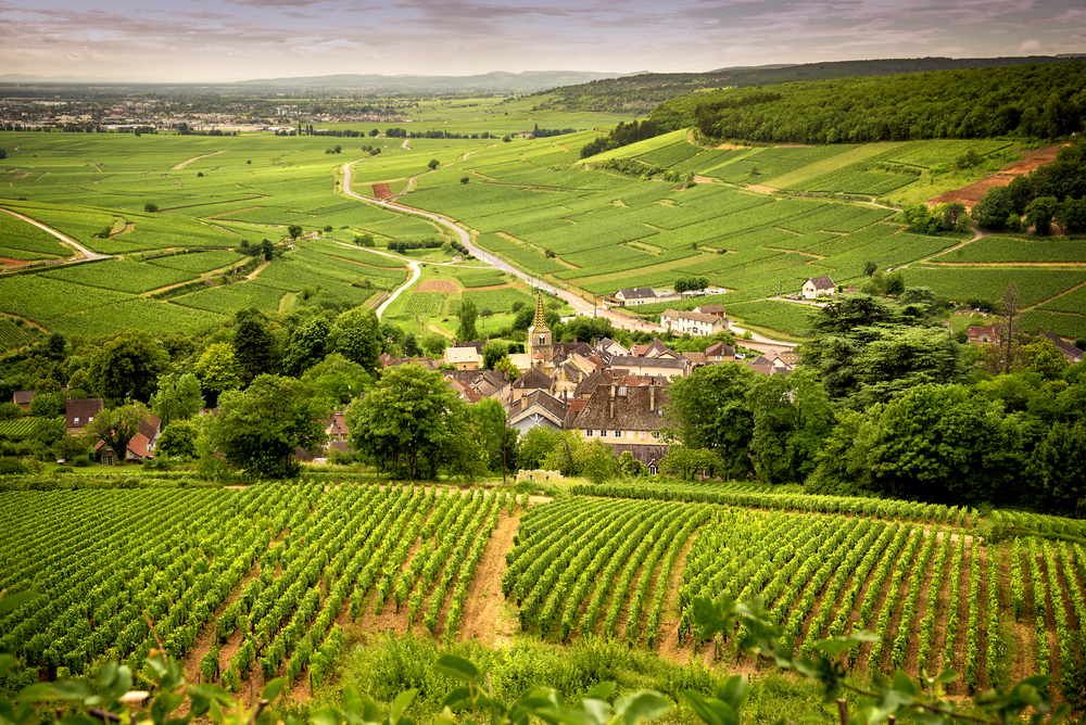 Adventure of the Week: Burgundy Vineyard Trails | Macs Adventure Blog